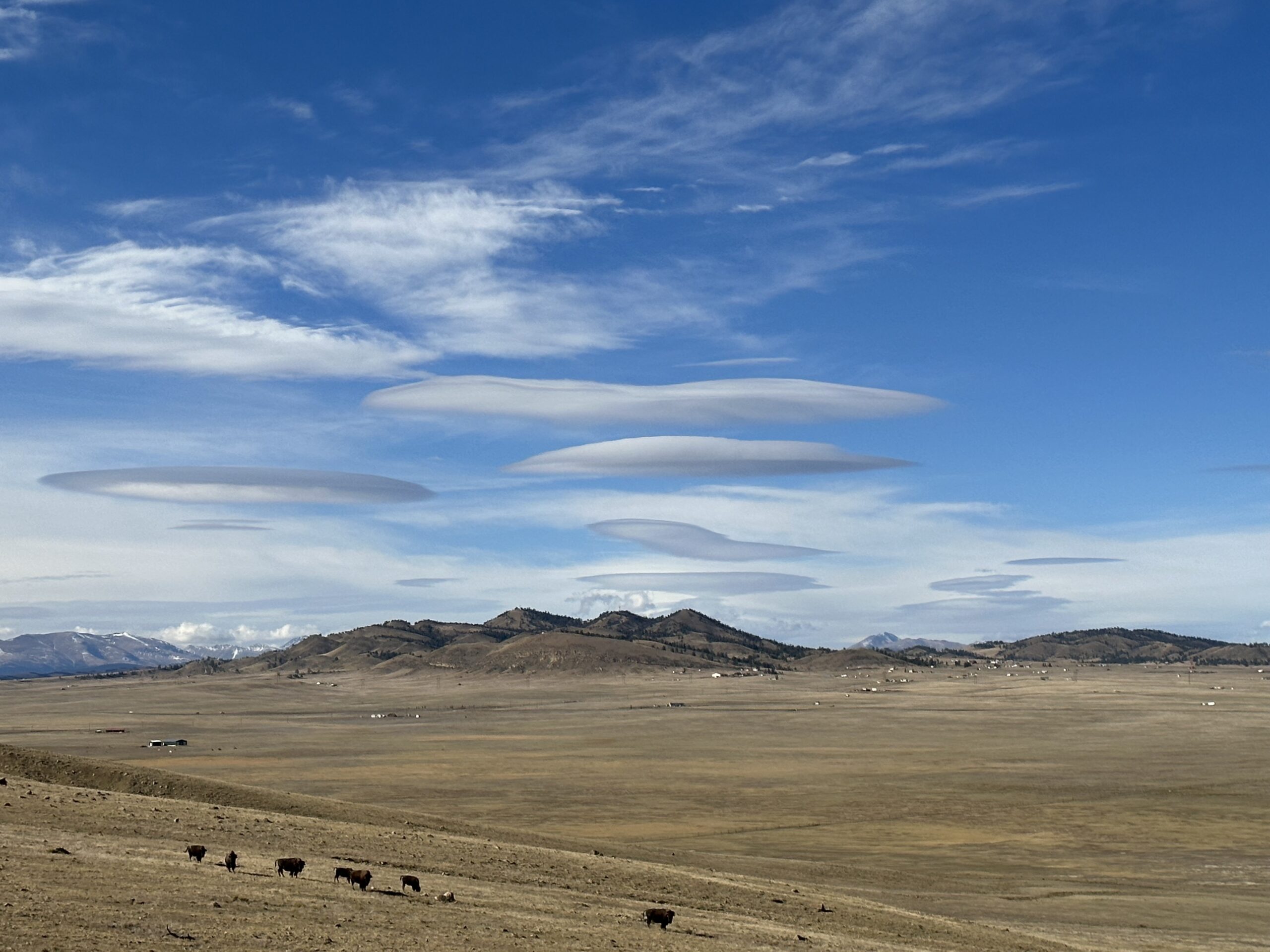 Fall 2023 Clouds First - Kenny Olavarria - Flow Visualization