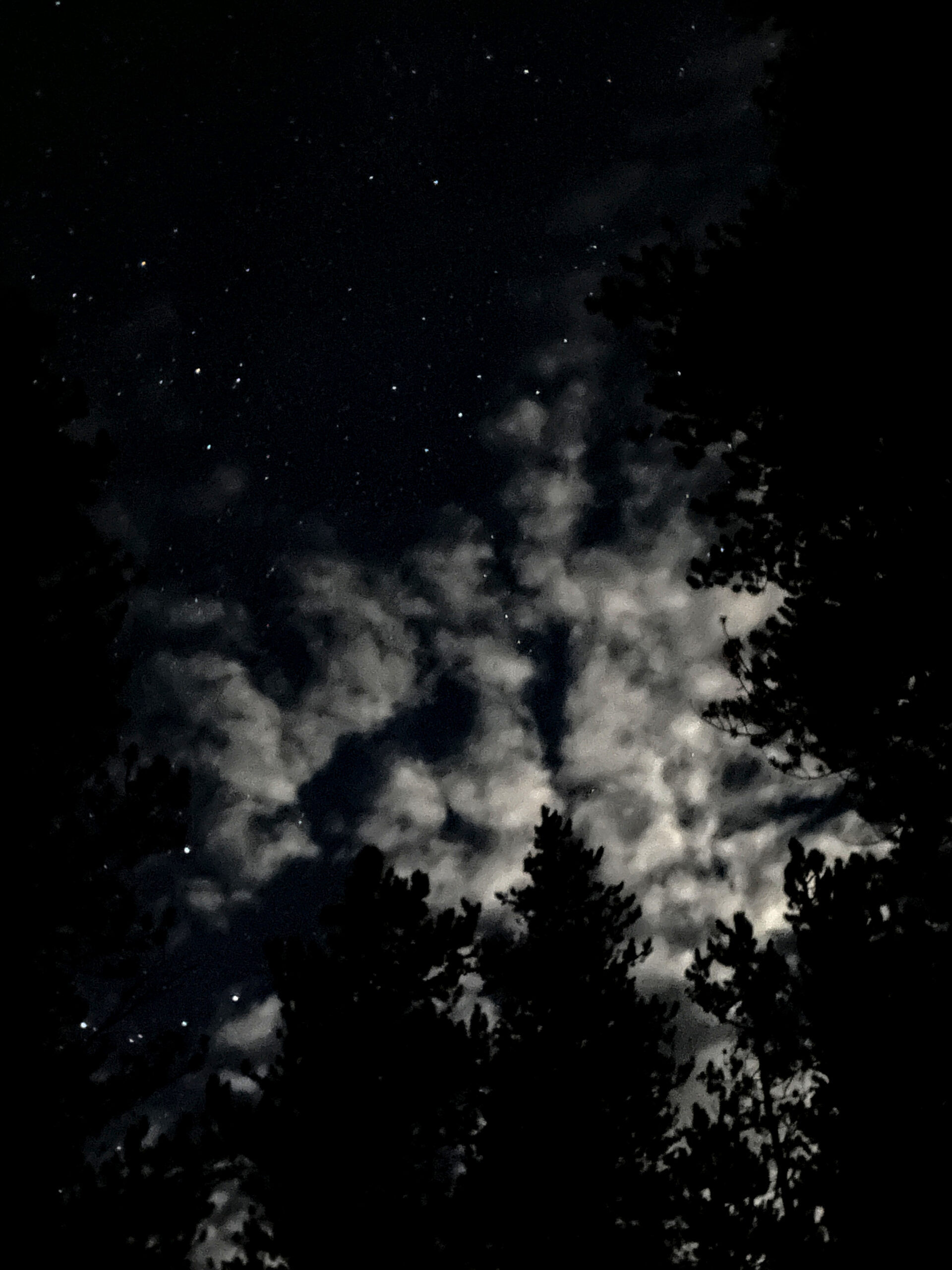 Moonlit Cloudscapes - Fall 2023 Clouds First - Sierra Greeley - Flow Visualization