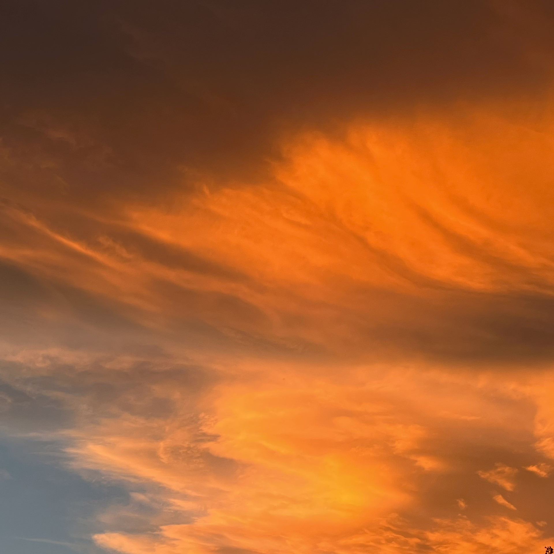 Alexandr Vassilyev - Clouds First - Flow Visualization