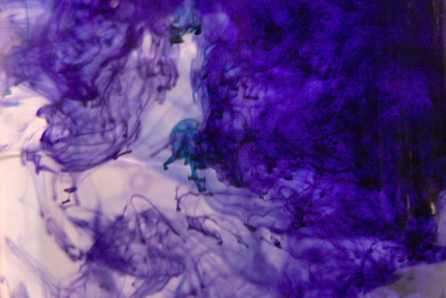 Chromatic Kaleidoscope - Fall 2023 Team Second - Sierra Greeley - Flow Visualization