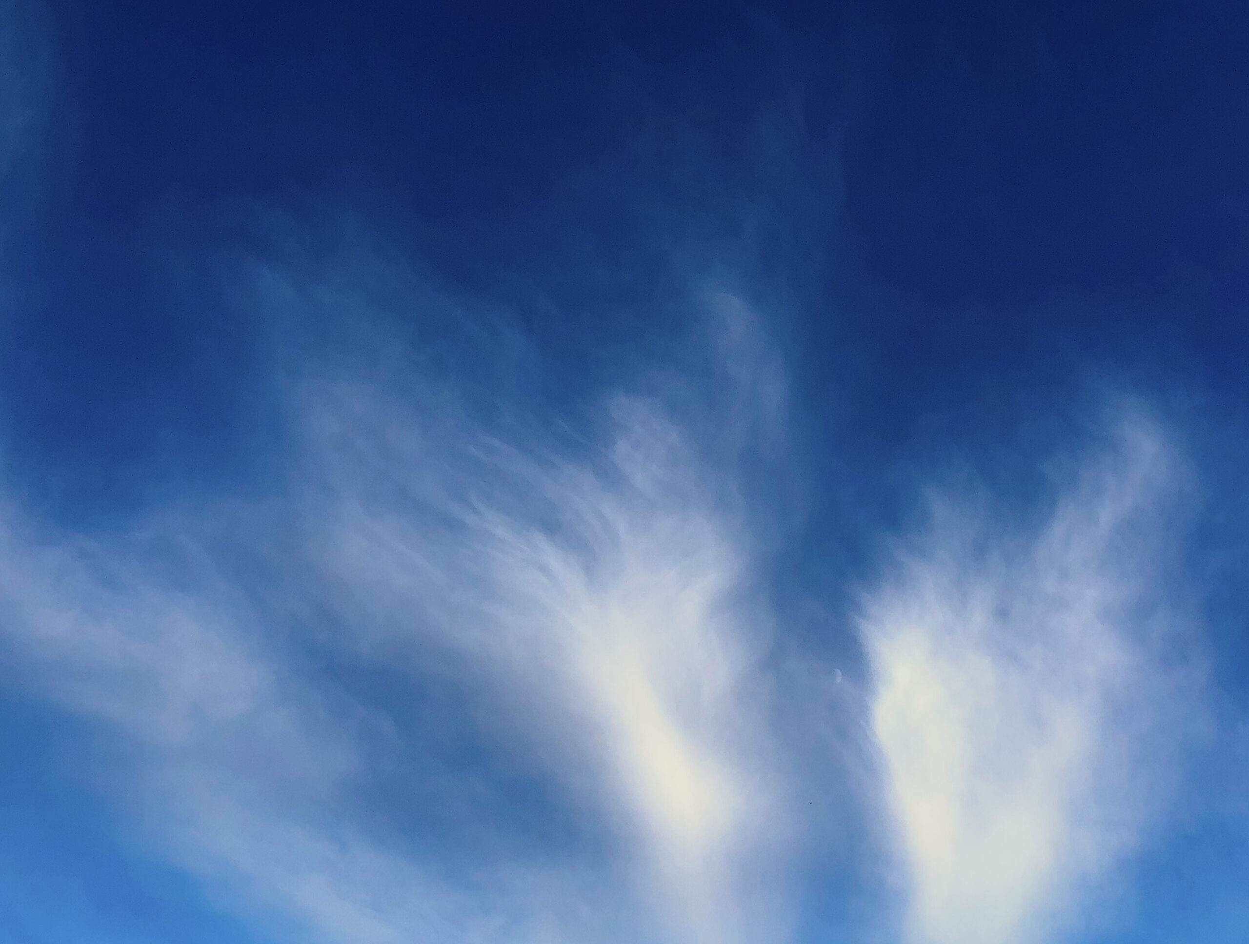 Team Third - Riley Menke - Flow Visualization