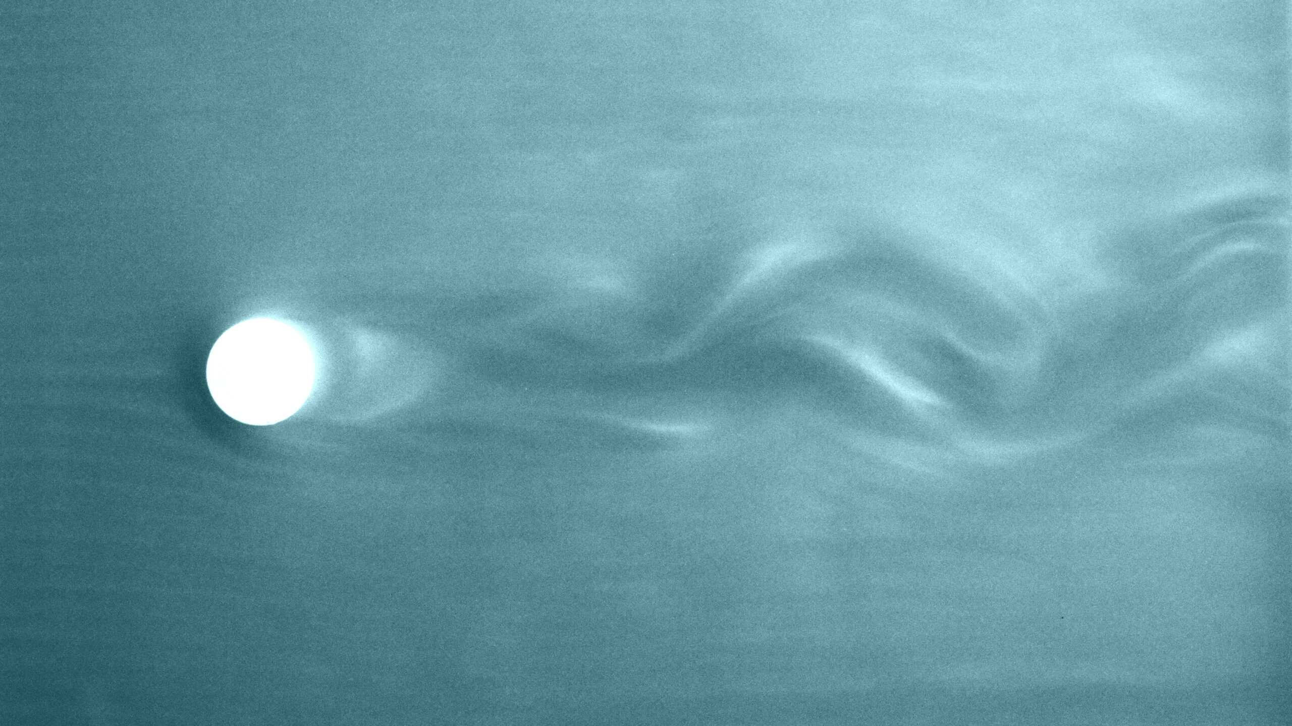 Team First - von Kármán Vortex Street - Flow Visualization