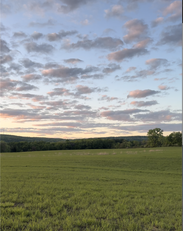 Cort Sommer – Clouds Second – Flow Visualization